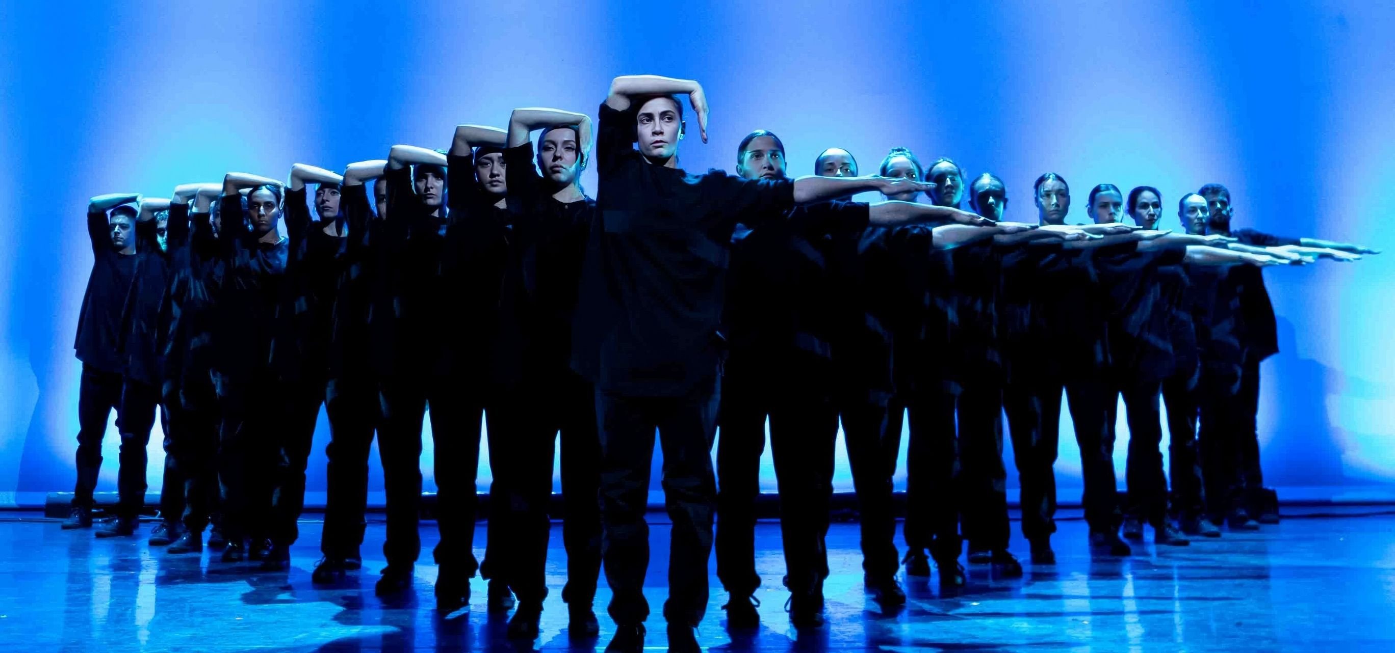 Murmuration de Sadeck Berrabah au Colisée de Roubaix près de Lille en 2025