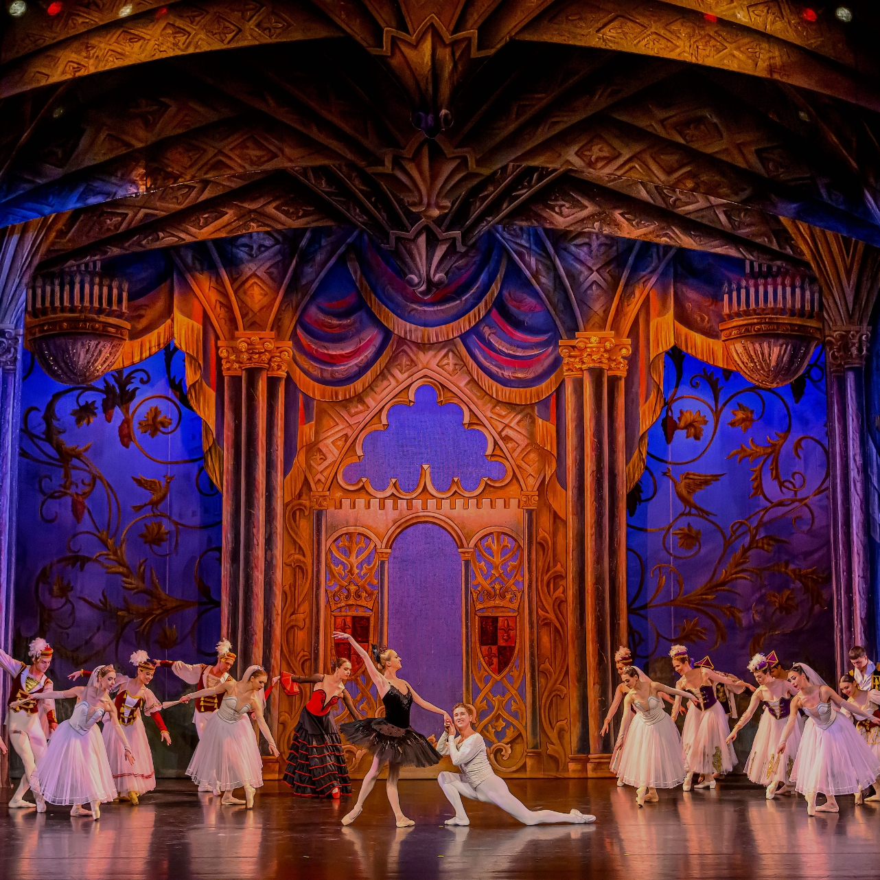 Le Lac des cygnes au Colisée de Roubaix près de Lille en 2024