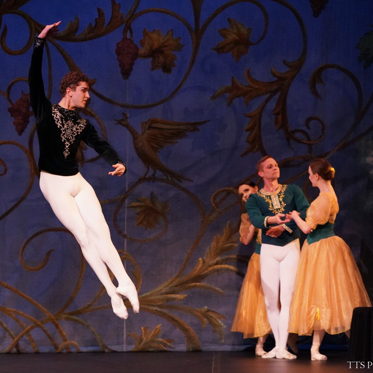 Le Lac des cygnes au Colisée de Roubaix près de Lille en 2024