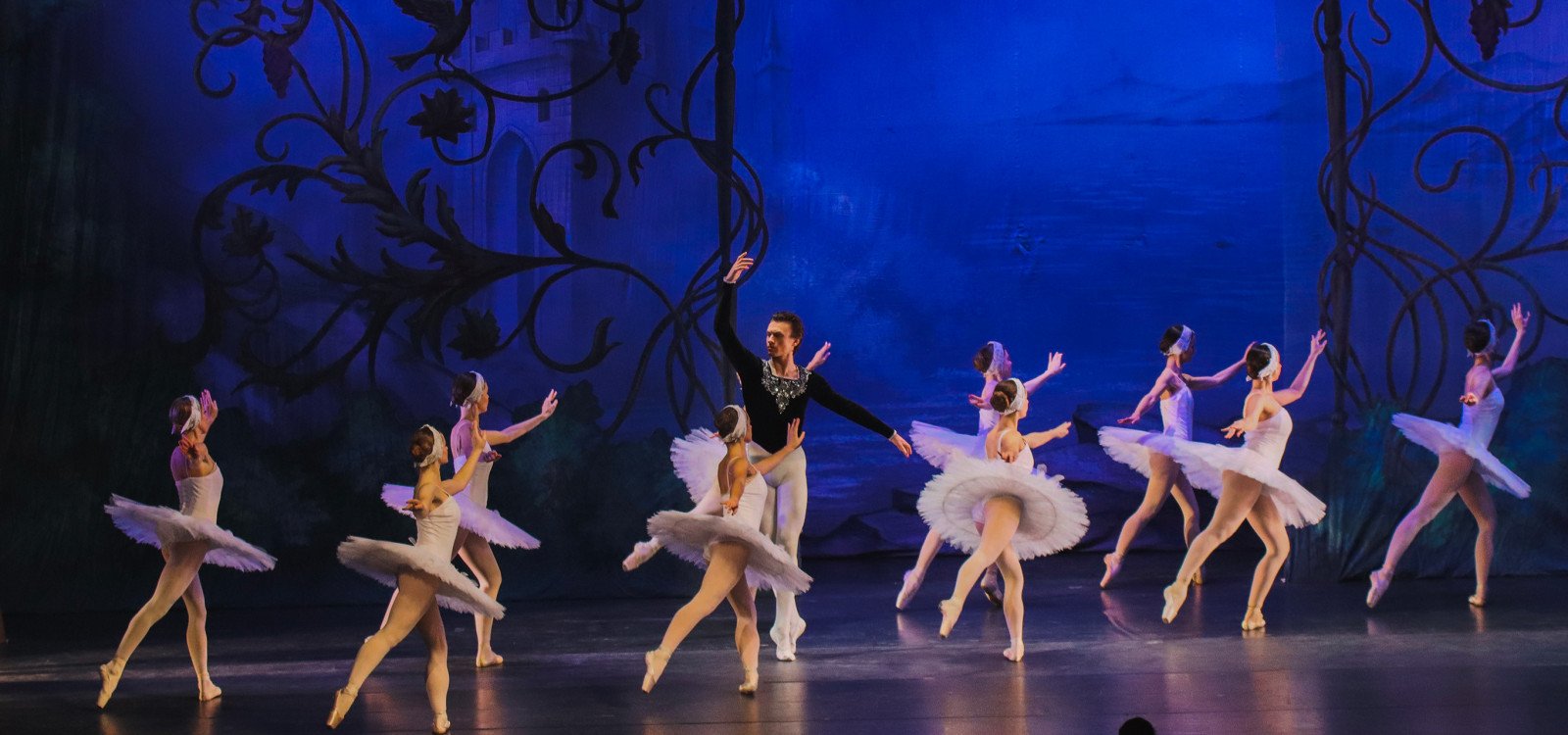 LE LAC DES CYGNES - Colisée de Roubaix